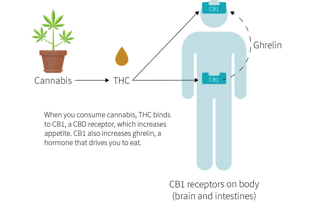 5 Short-Term & Long-Term Effects Of Marijuana On The Brain